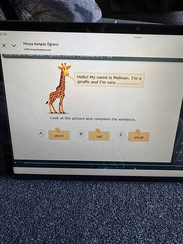 Resimli Soru 15-11-2025 15:27:04 - Sorumatik