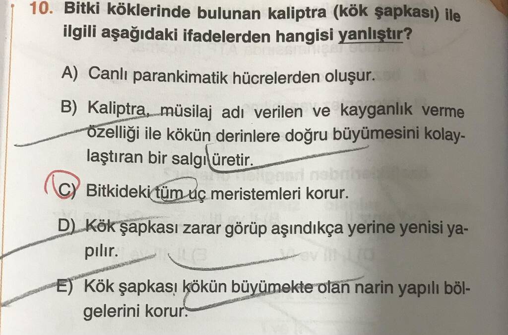 Mdkdndndjjdnd - Sorumatik