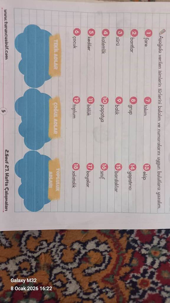 Resimdeki İsimlerin Türlerini Bulma ve Numaraların Doğru ...