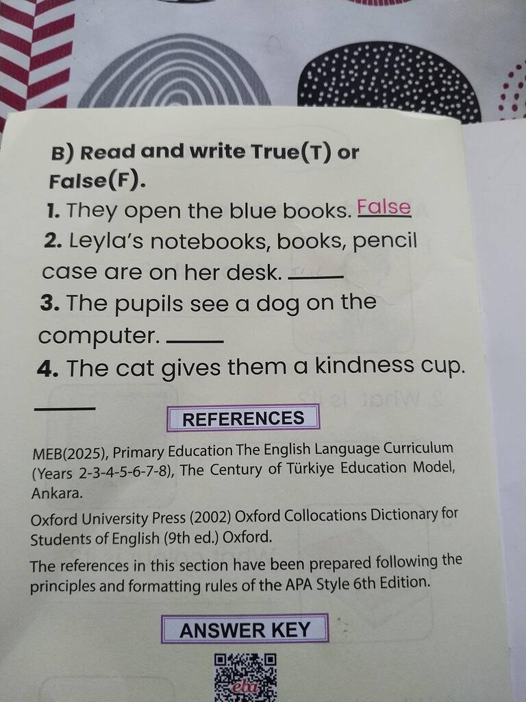 Reading and Writing True (T) or False (F) Statements Task - Sorumatik