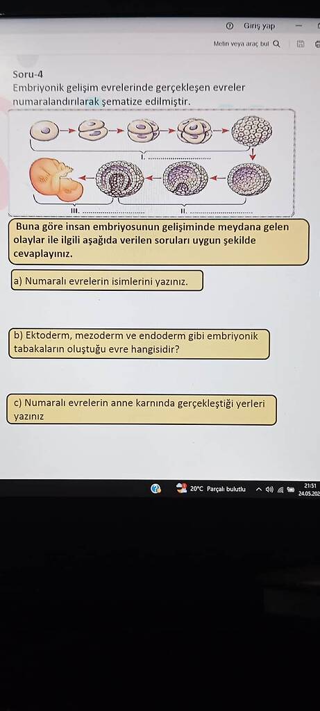 Resimli Soru 25-05-2025 10:45:07 - Sorumatik