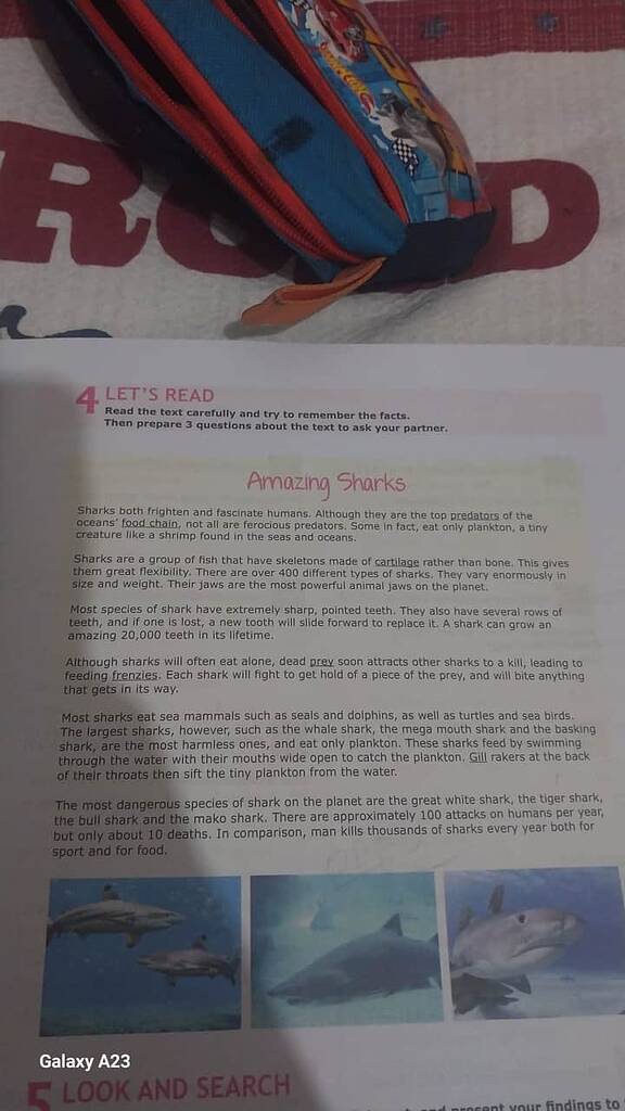 Amazing Sharks (English Explanation) - Sorumatik