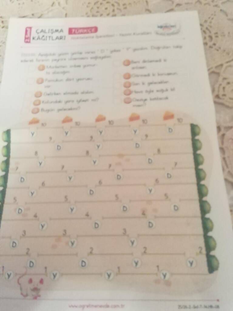 How to solve the worksheet with True (D) and False (Y) answers shown in ...