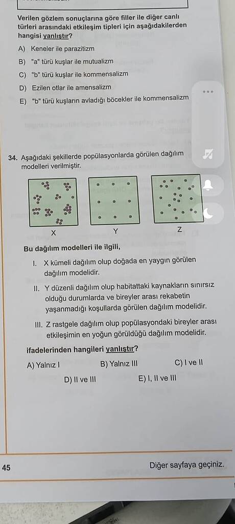 Ghjjk - Sorumatik