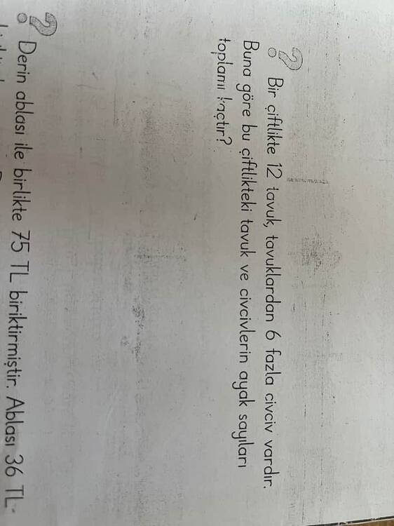Tavuk ve Civcivlerin Ayak Sayısı Problemi Çözümü - Sorumatik