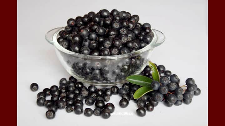 Aronya meyvesi nedir? Faydaları Nedir? - Sorumatik