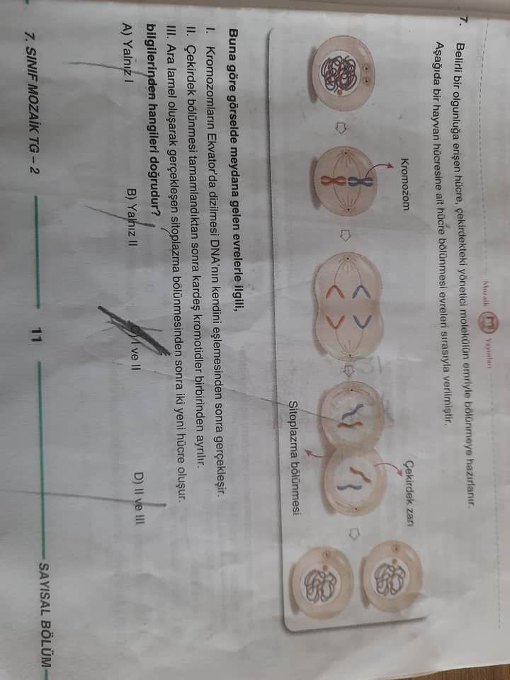 Cevap nedir lütfen - Sorumatik