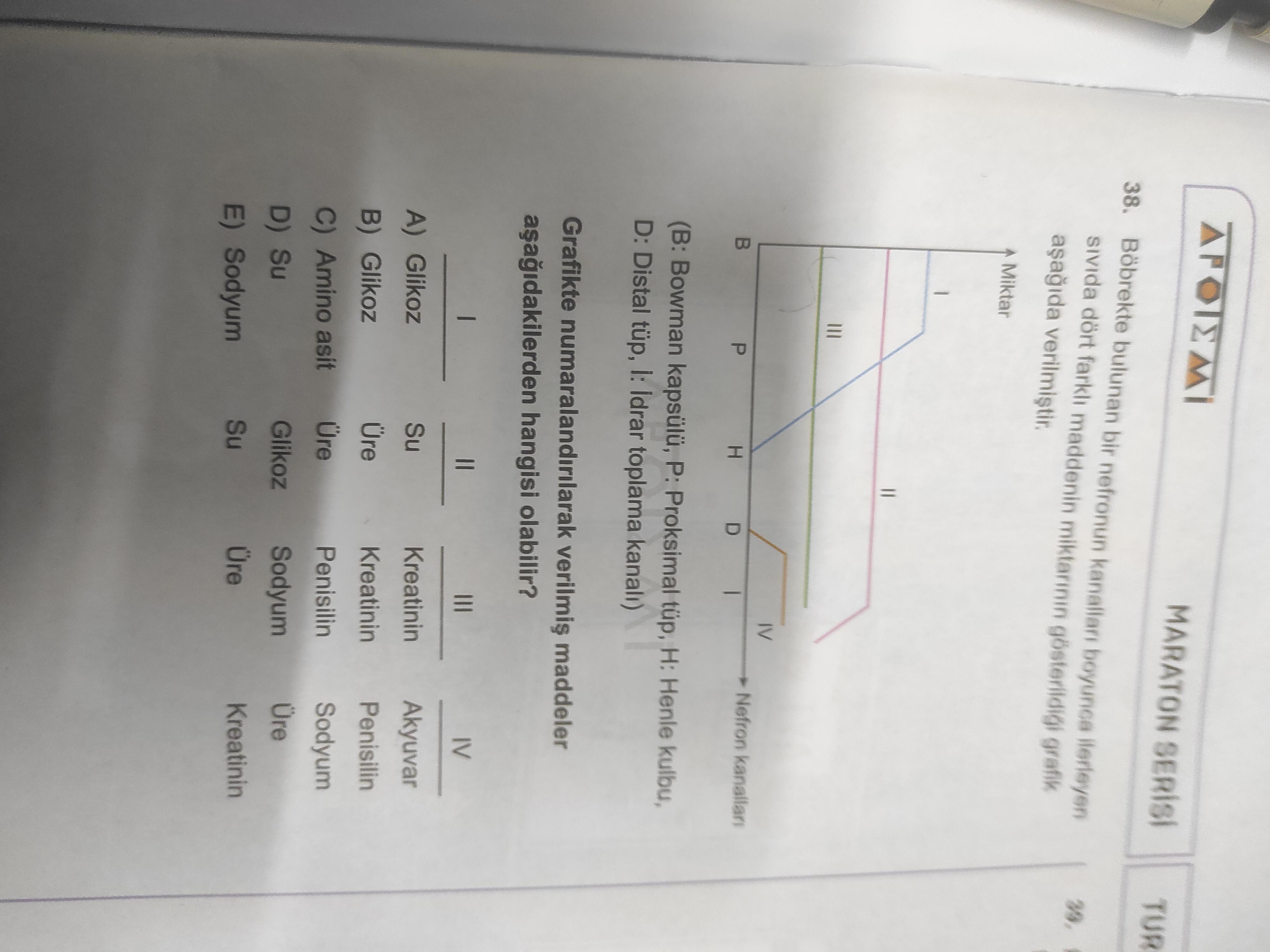 38 dhdhd - Sorumatik