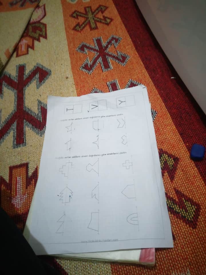 Simetri doğrularina göre simetrileri çiz - Sorumatik