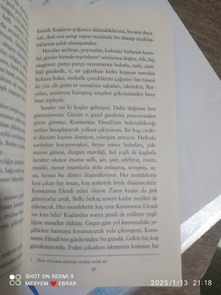 Sait Faik Abasıyanık son kuşlar - Sorumatik