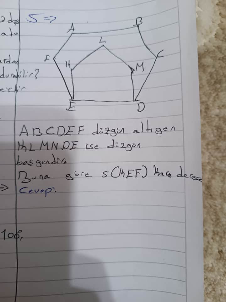 Resimli Soru 25-05-2025 21:50:03 - Sorumatik