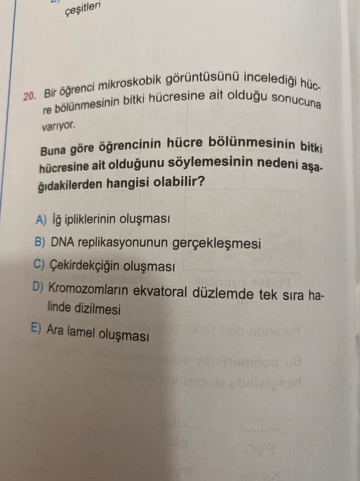 Bşyotljıi - Sorumatik