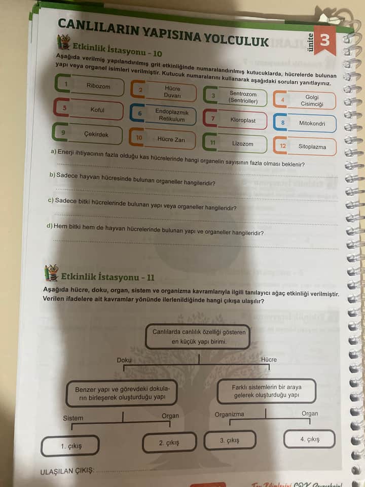5 sınıf resimli soru - Sorumatik