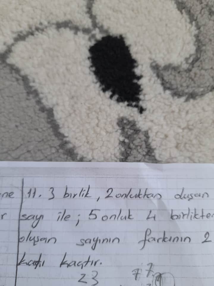 Resimli Soru 25-05-2025 10:53:33 - Sorumatik