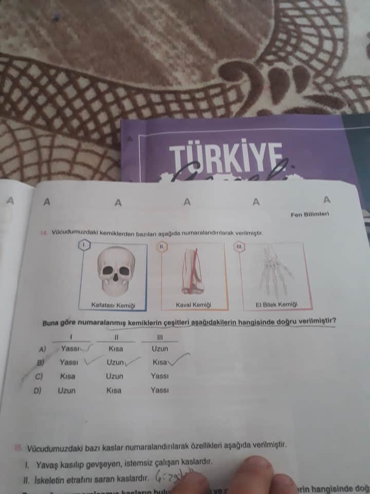 Kemikler hangisinde doğru verilmiştir - Sorumatik