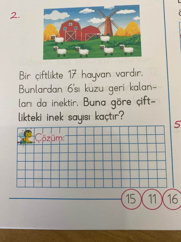 Resimli Soru 17-09-2025 20:22:42 - Sorumatik