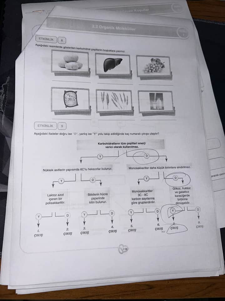 Hele bak - Sorumatik