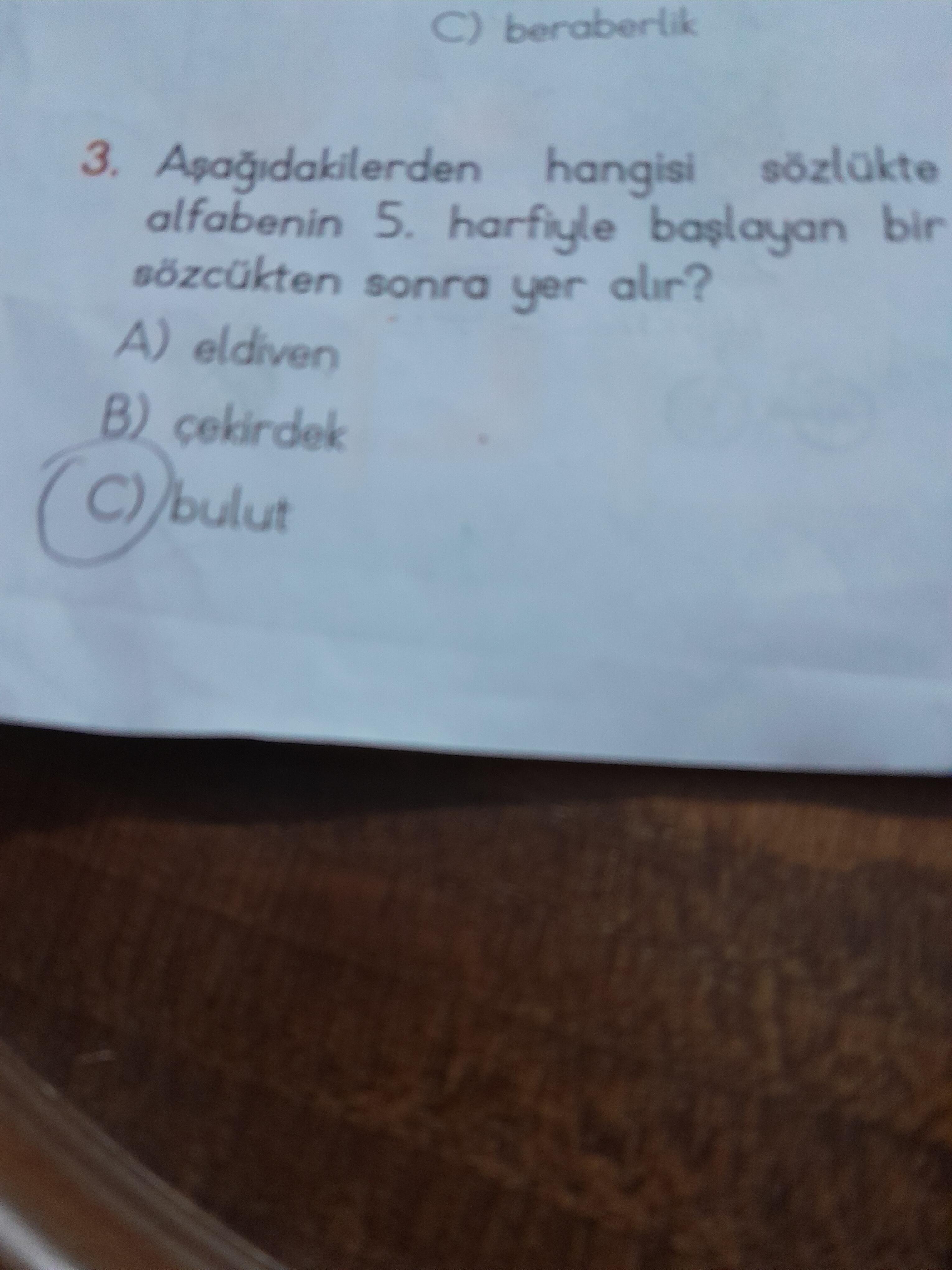 Resimli Soru 19-10-2025 21:42:24 - Sorumatik