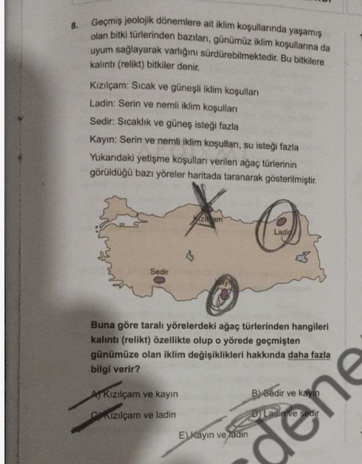 Resimli Soru 22-11-2025 22:31:06 - Sorumatik