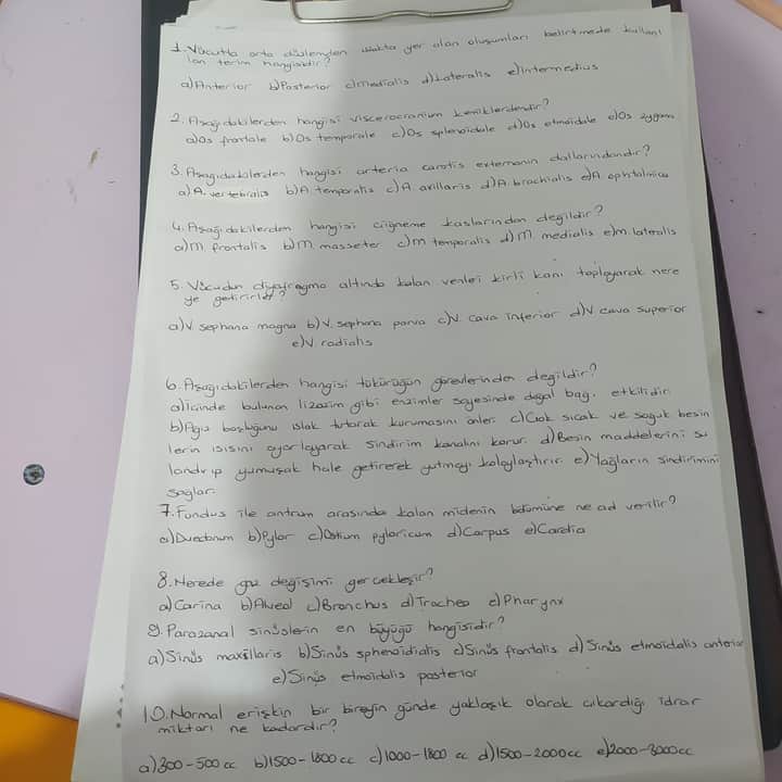 Anatomi sorulari - Sorumatik
