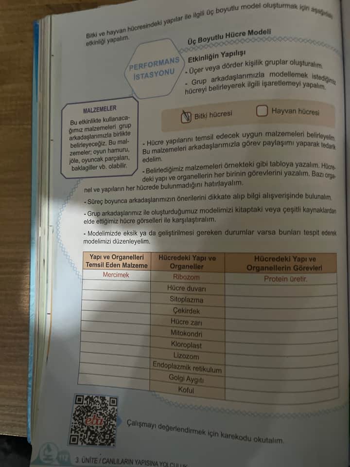 Bitki ve hayvan hücresindeki yapı ve organelleri temsil eden malzeme ve ...